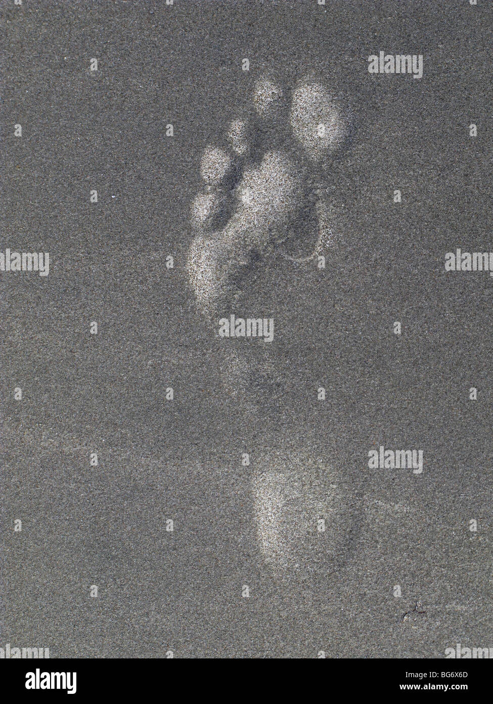 imprint on the sand Stock Photo - Alamy