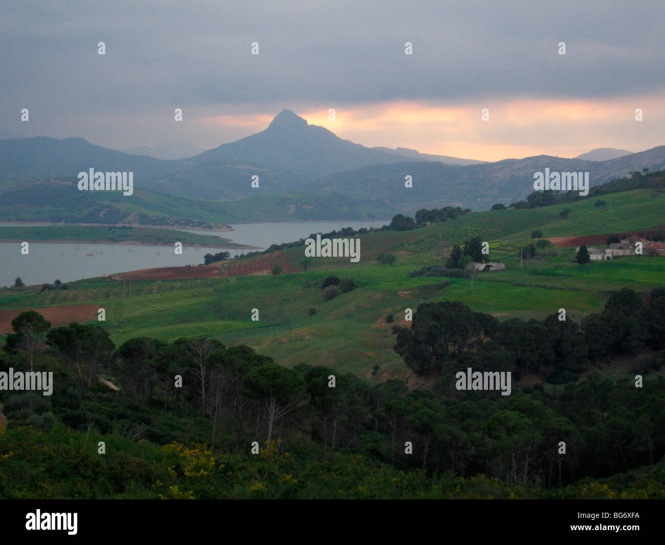 Algeria agriculture hi-res stock photography and images - Alamy