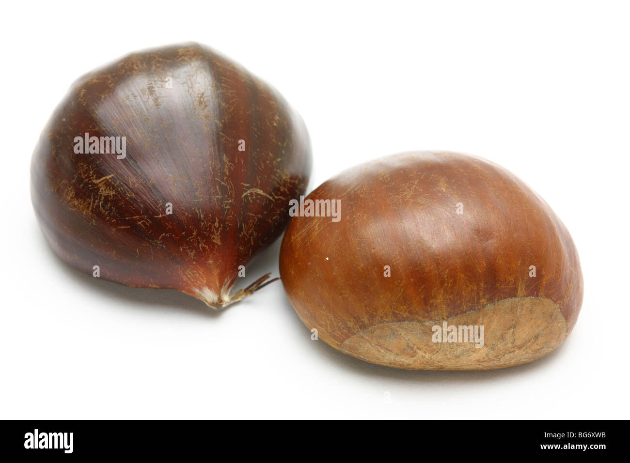 Two sweet chestnuts on white background Stock Photo - Alamy