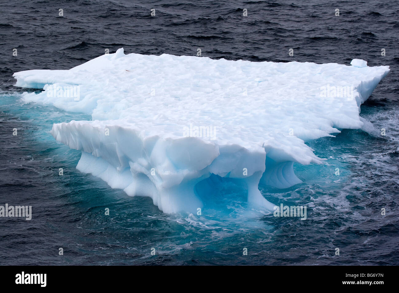 Growler (small iceberg) floating in Paradise Bay, Antarctica Stock ...