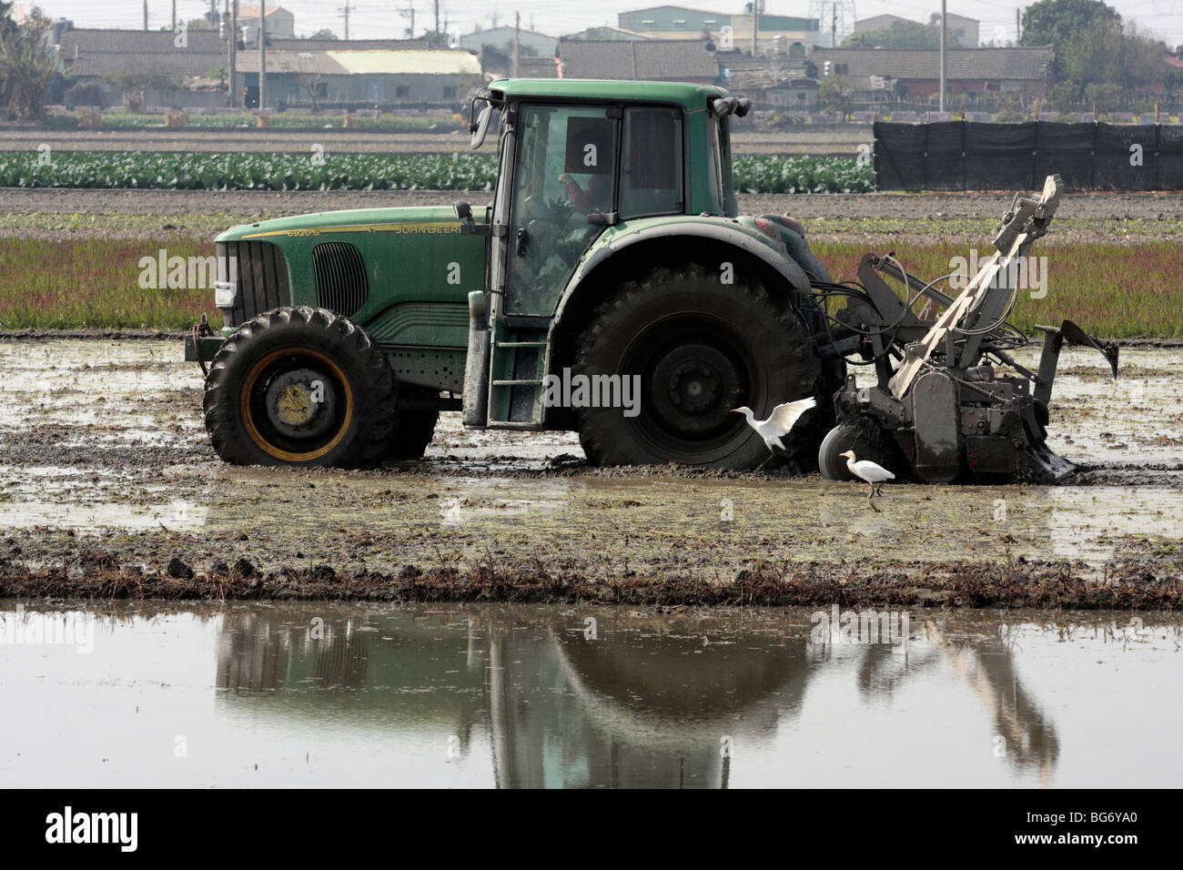 Farmer plows rice field by driving machine Stock Photo - Alamy