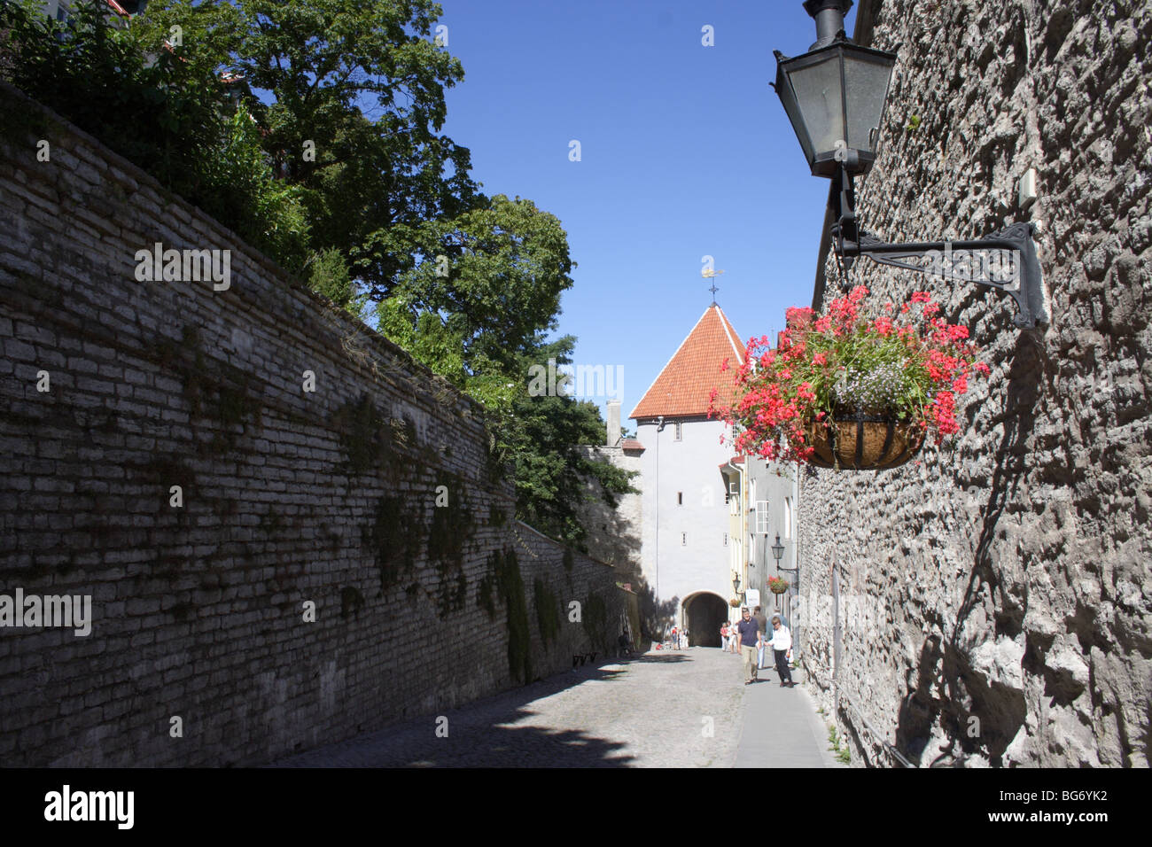 Tallin street hi-res stock photography and images - Alamy
