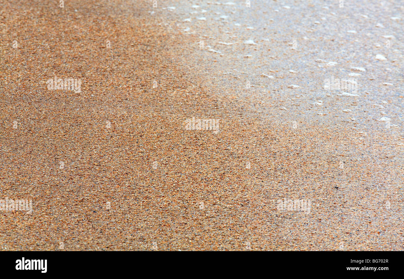 Sandy - breakage cockleshell wet sea background (small depth of ...
