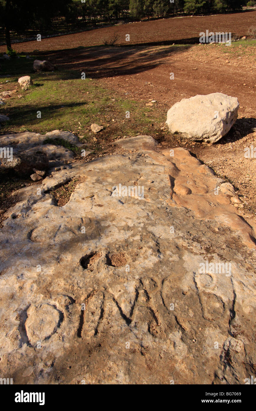 Ata hi-res stock photography and images - Alamy