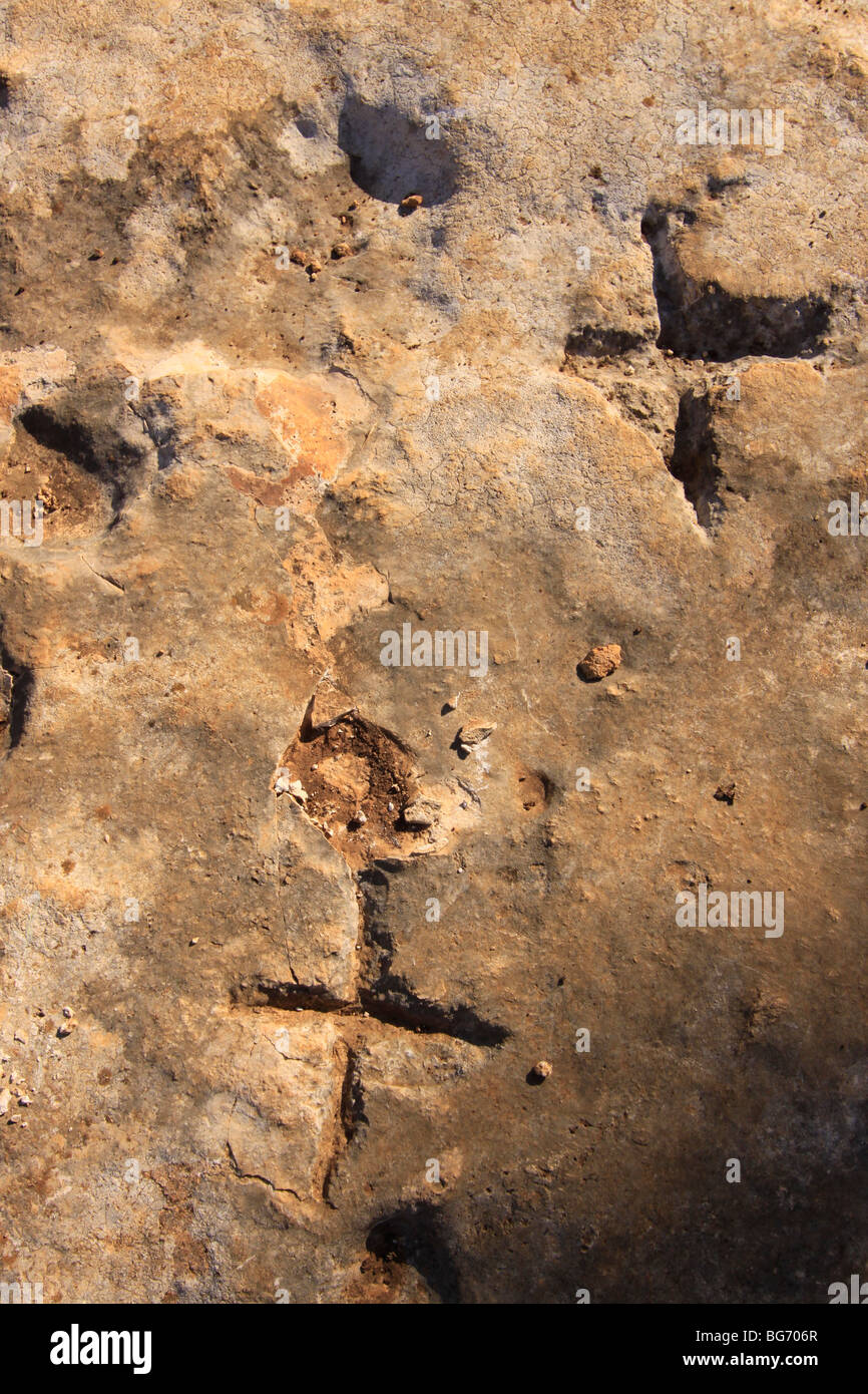 Israel, Lower Galilee, the Sabbath Stone in Kiryat Ata forest Stock ...