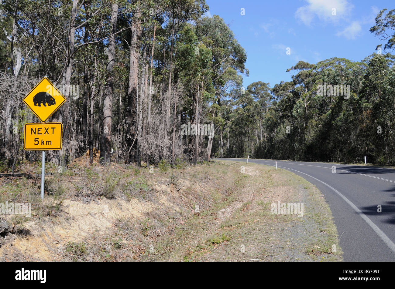 Princess highway australia hi-res stock photography and images - Alamy