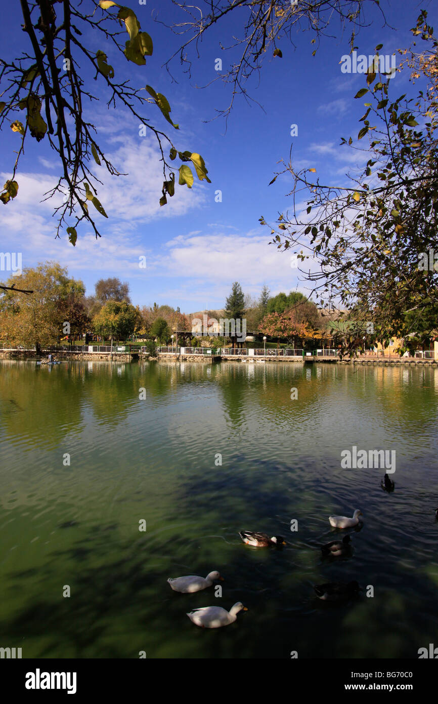 Israel, Upper Galilee, the lake at Kibbutz Yiron Stock Photo - Alamy