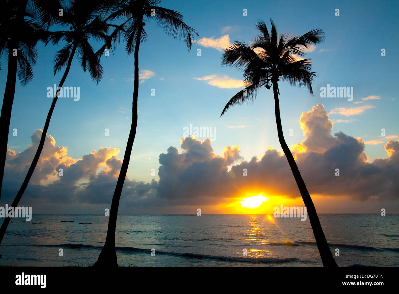 Indian ocean seashore hi-res stock photography and images - Alamy