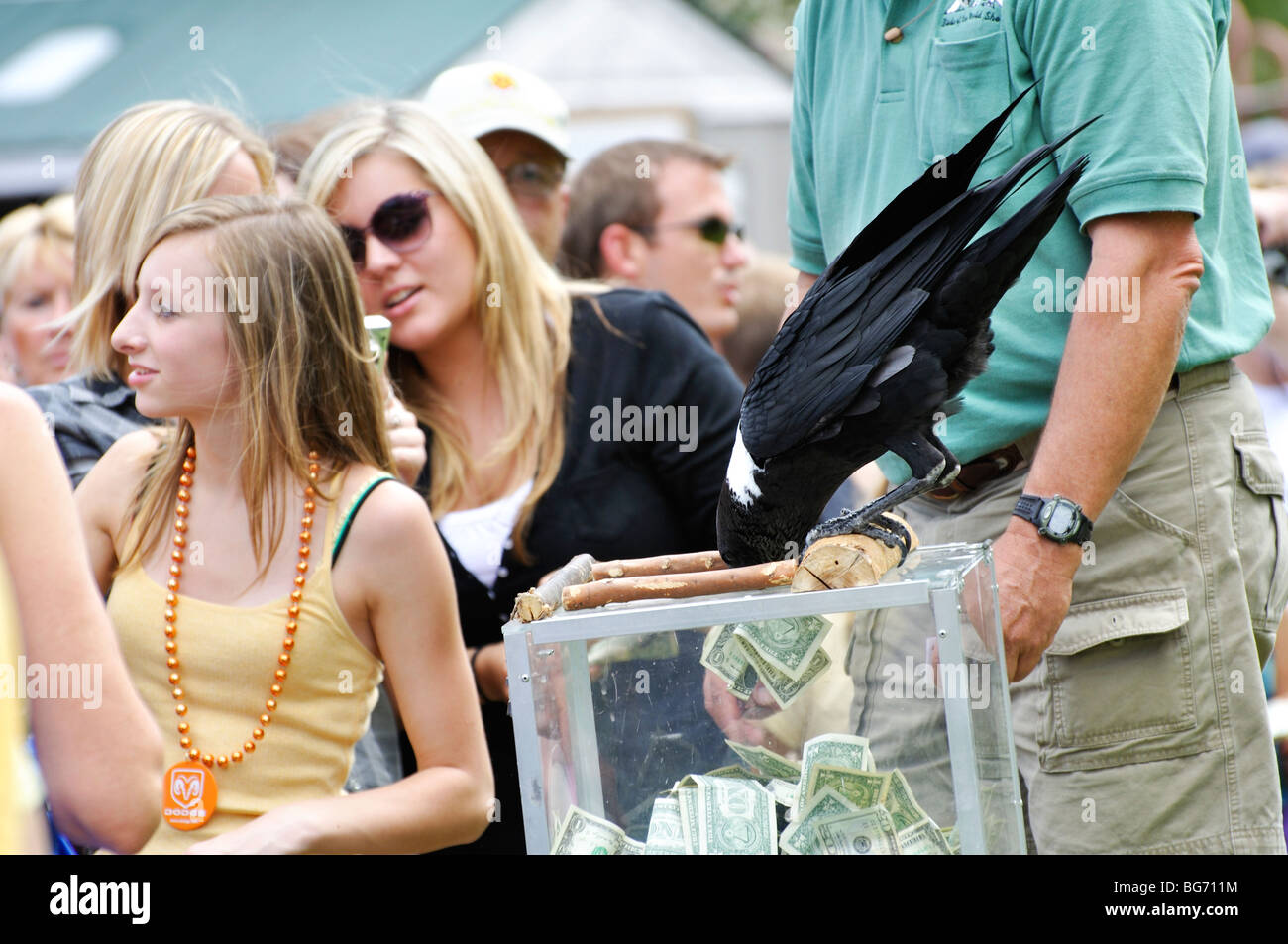 Bird collecting money Stock Photo - Alamy