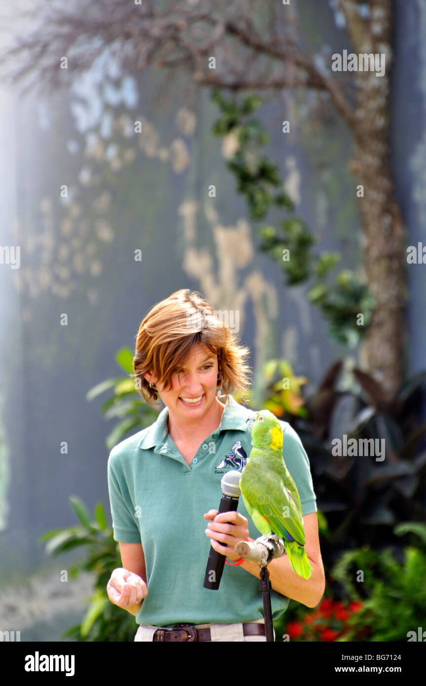 Girl with talking parrot Stock Photo - Alamy