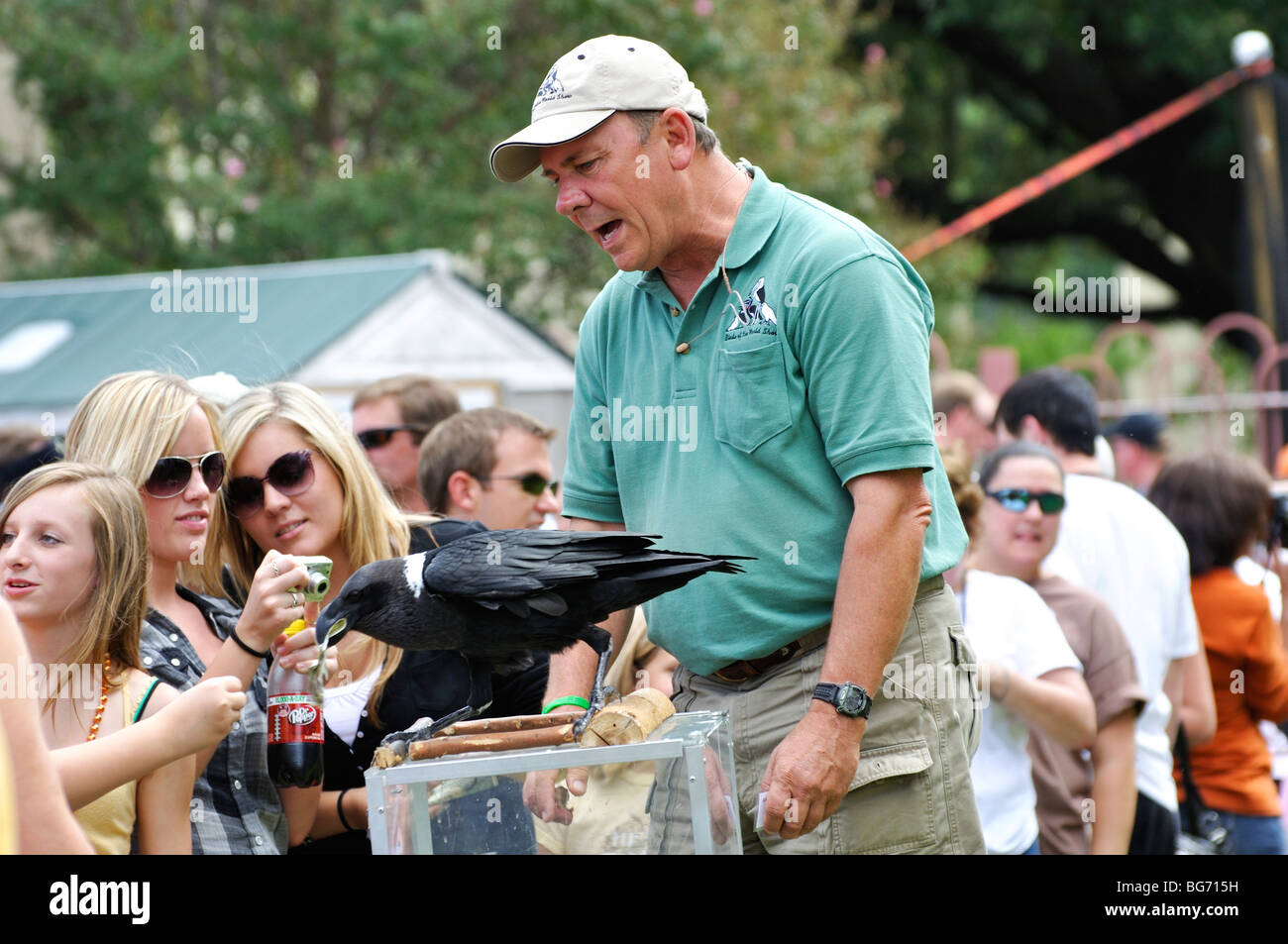 Bird collecting money Stock Photo - Alamy
