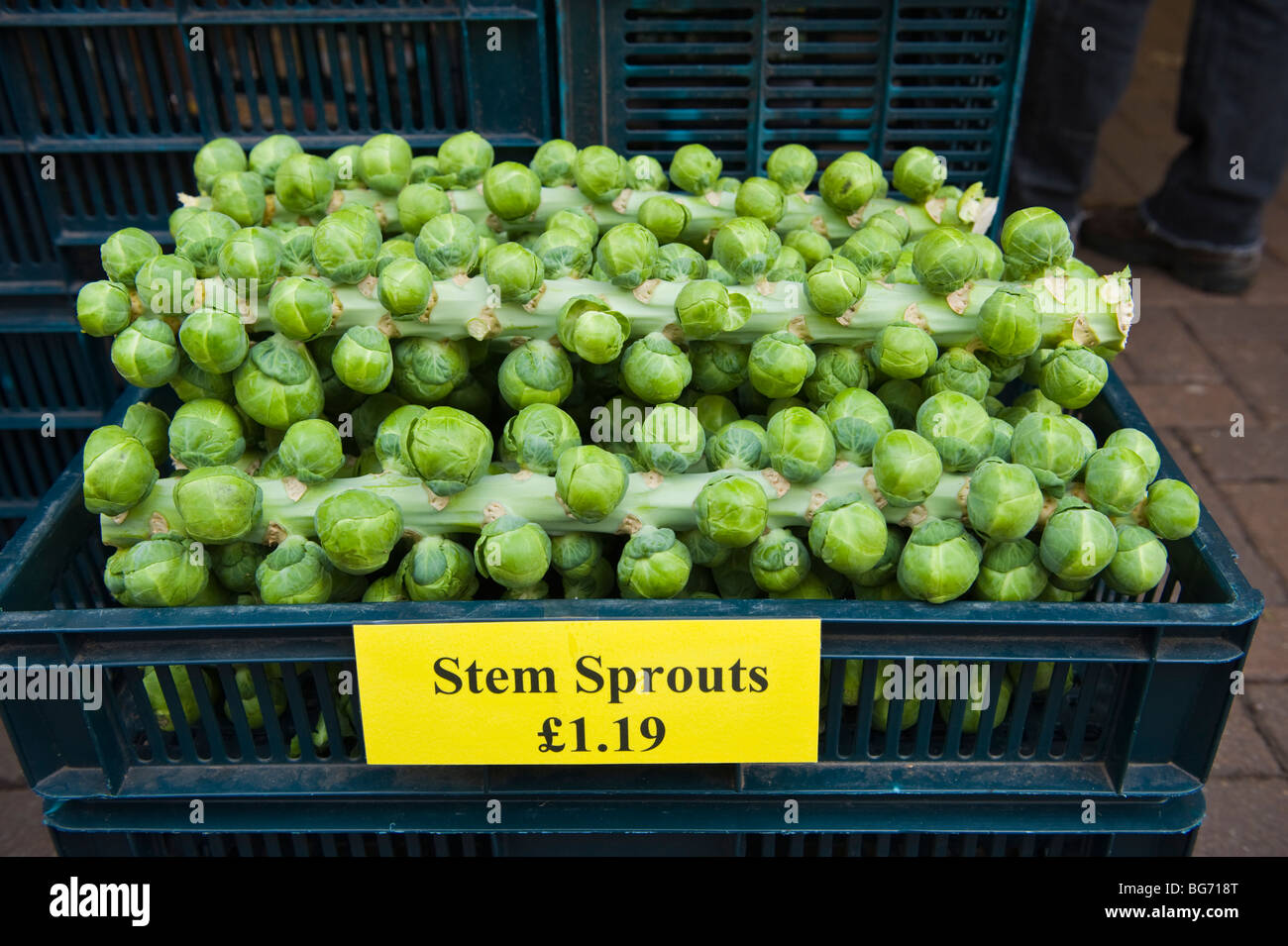 Xmas brussels sprouts hi-res stock photography and images - Alamy