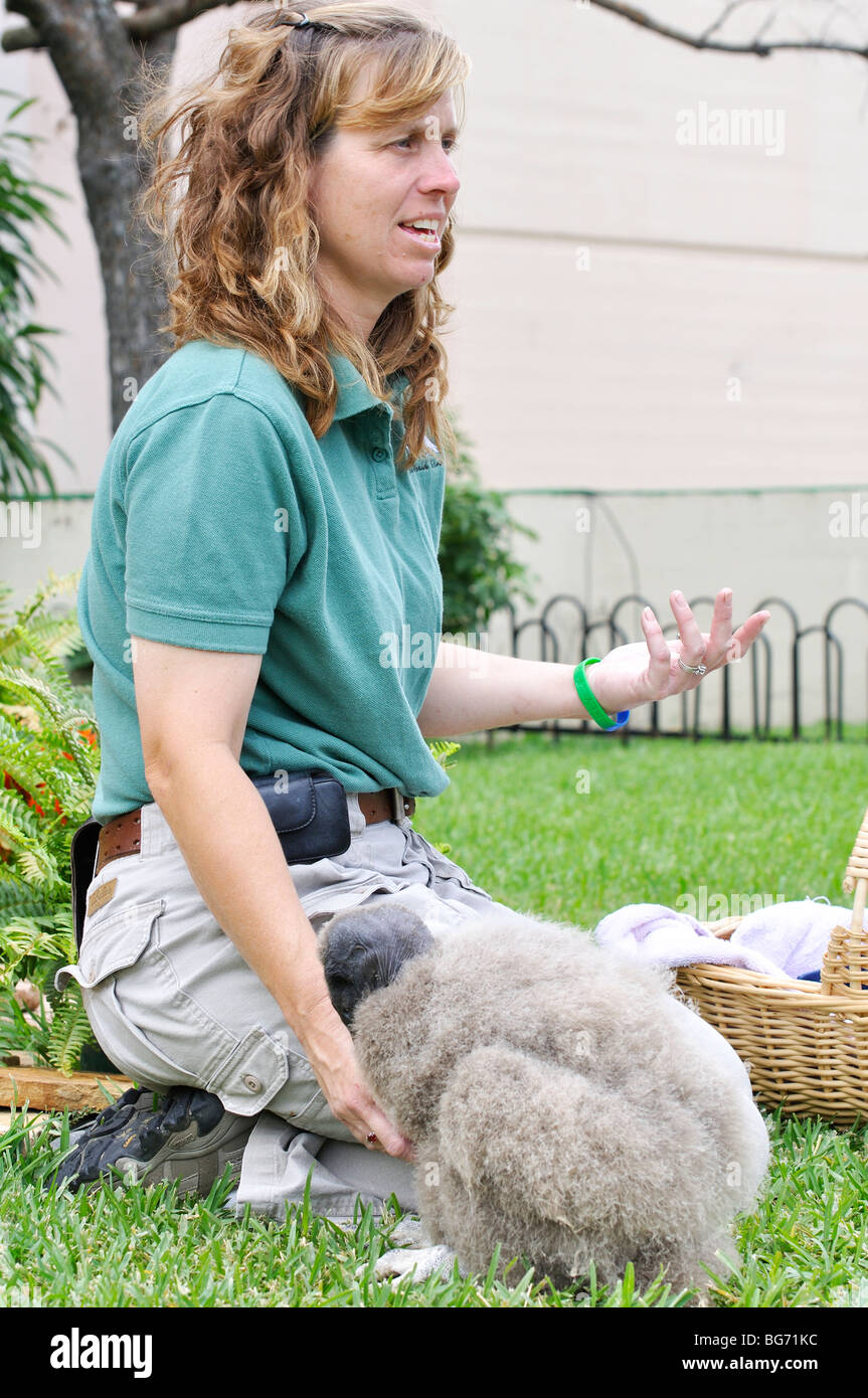 Condor california baby hi-res stock photography and images - Alamy