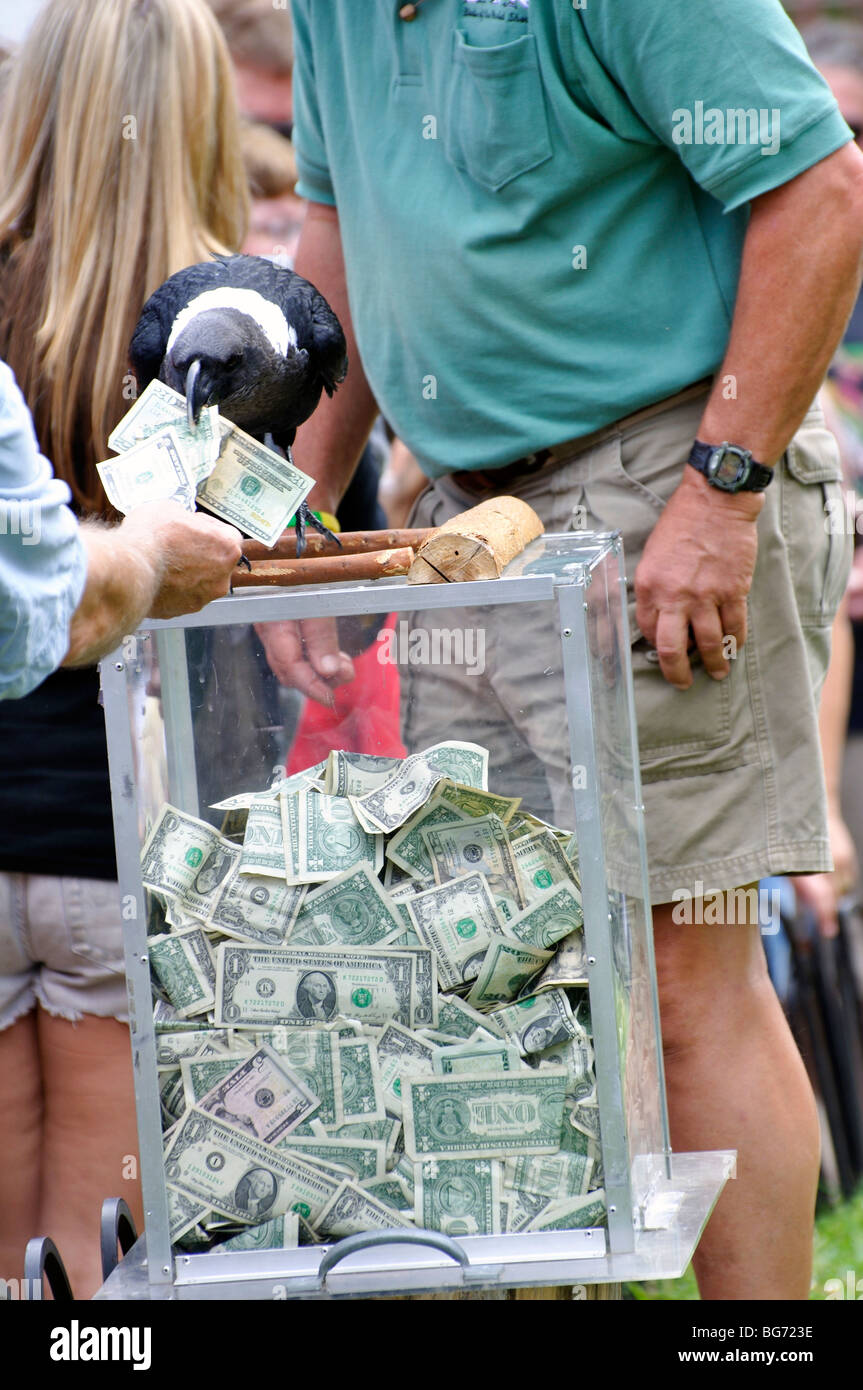 Money fundraising hi-res stock photography and images - Alamy