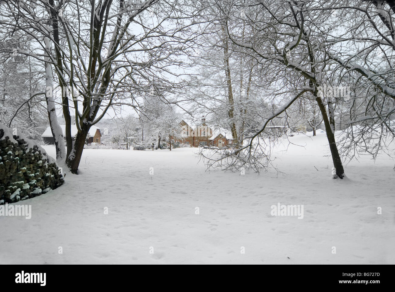 Woodland with snow and log pile with small cozy cottage in the distance ...