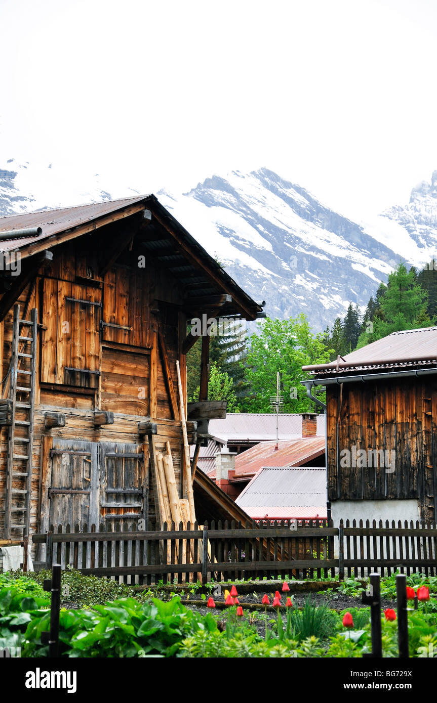 Murren village house switzerland hi-res stock photography and images ...
