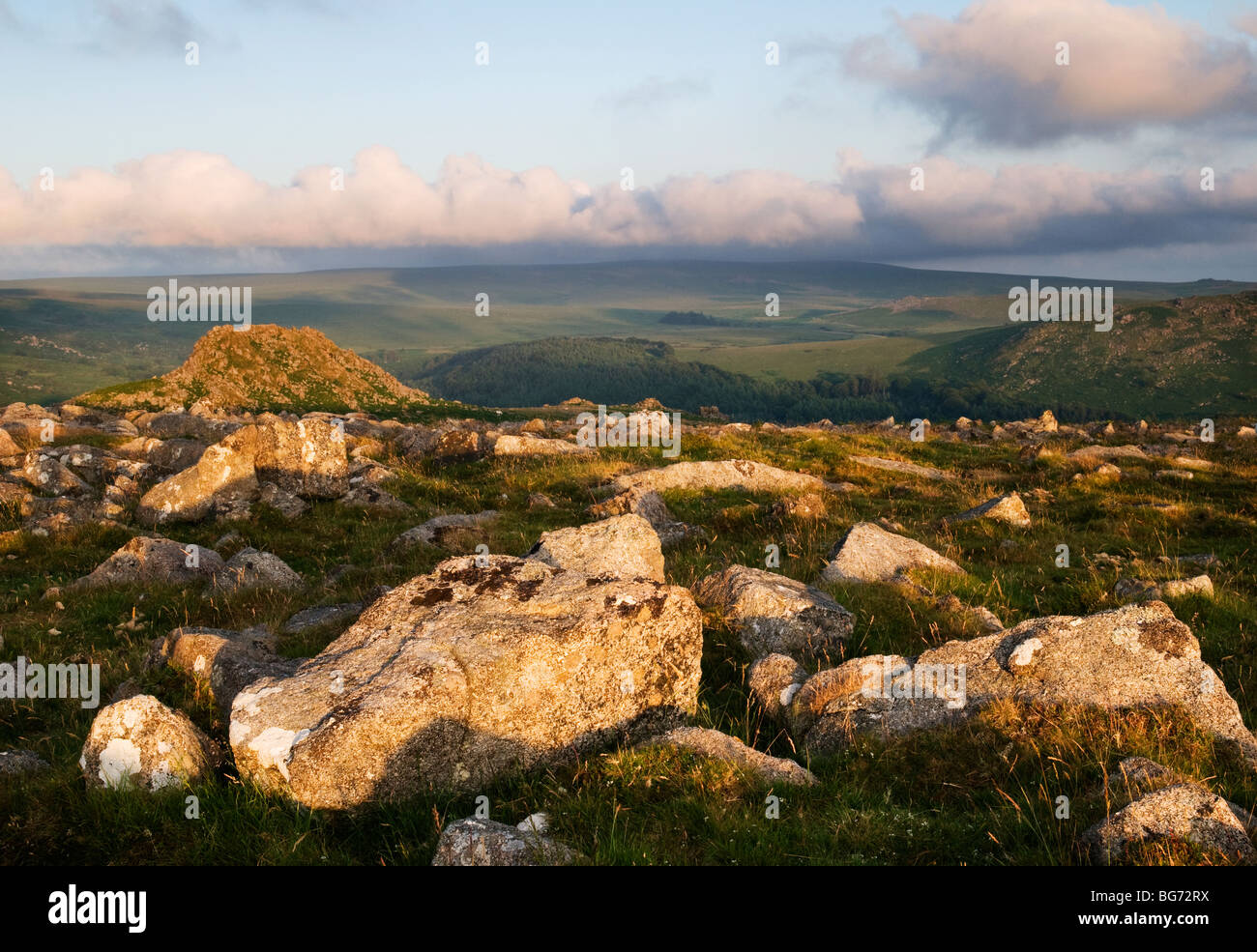 Moorland scene littered with granite rocks with Leather Tor in ...