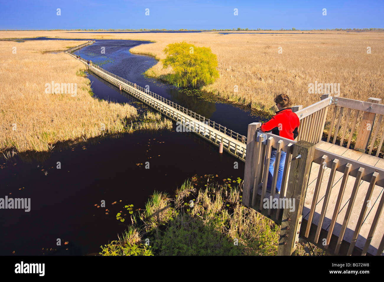 Tower at the Marsh Boardwalk in Point Pelee National Park, Lake Erie ...