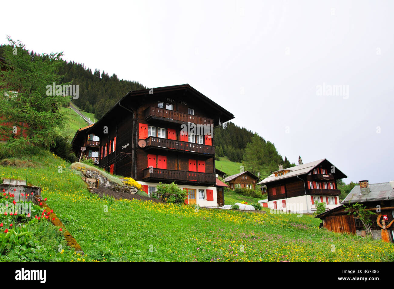 Murren village house switzerland hi-res stock photography and images ...