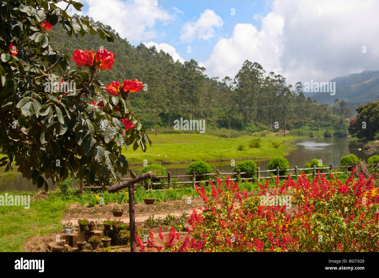 View of Munnar in Kerala Stock Photo - Alamy