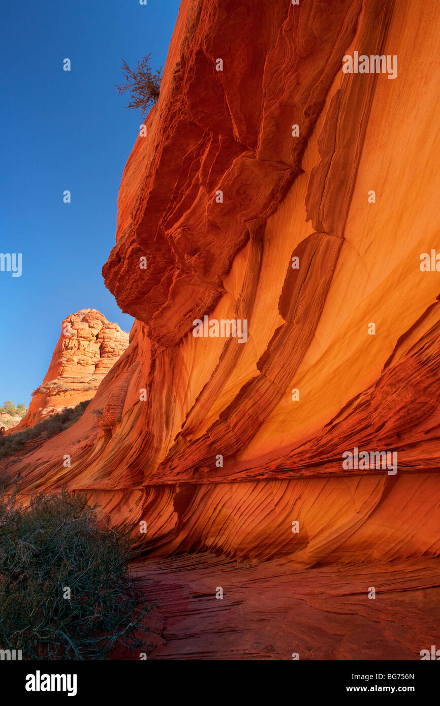 Rock formations in the Vermilion Cliffs National Monument, Arizona ...