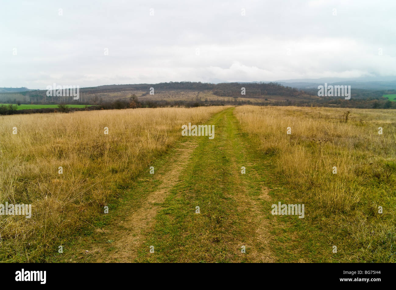 fall landscape with a cart road Stock Photo - Alamy