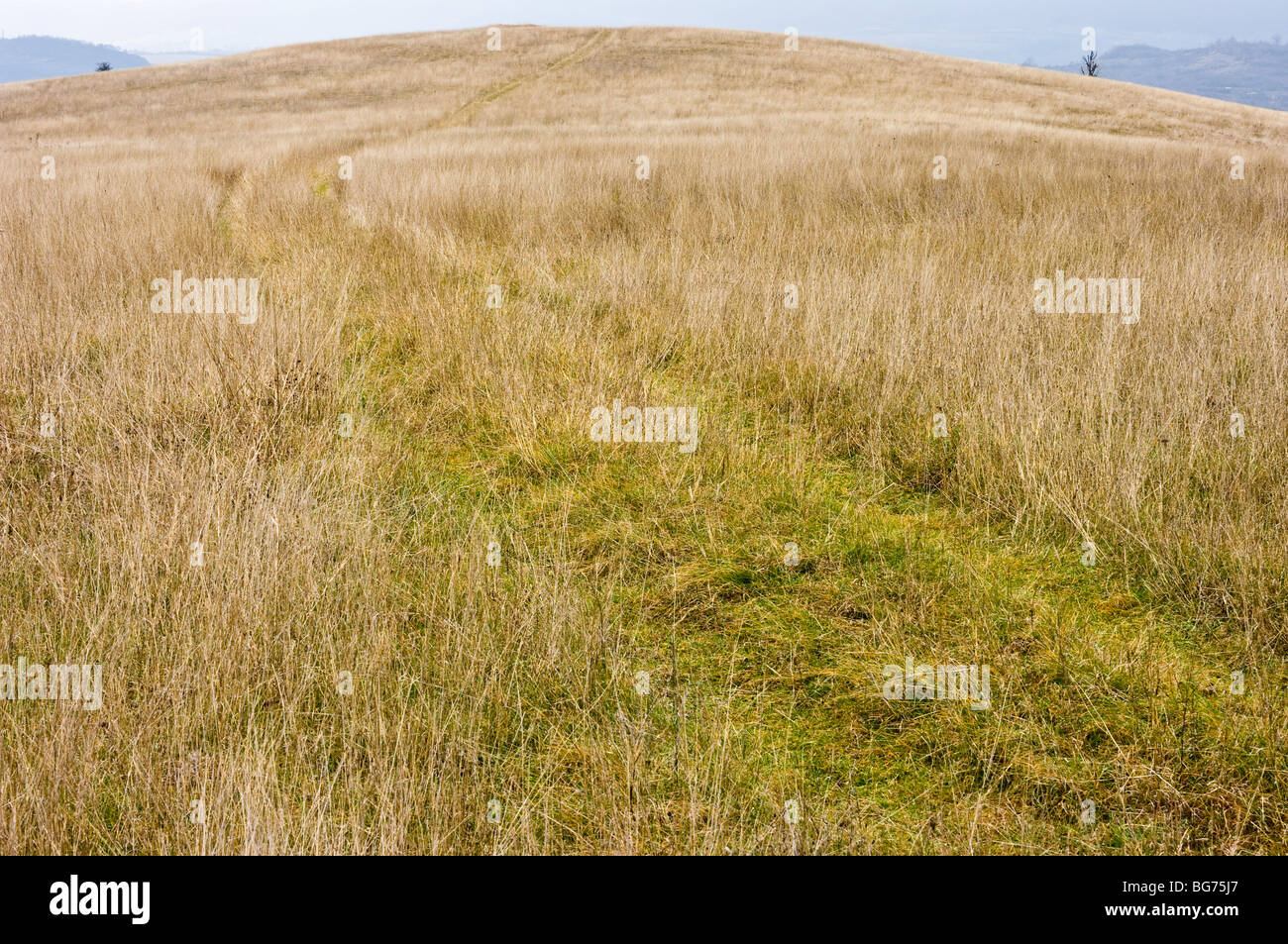 fall landscape with a cart road Stock Photo - Alamy
