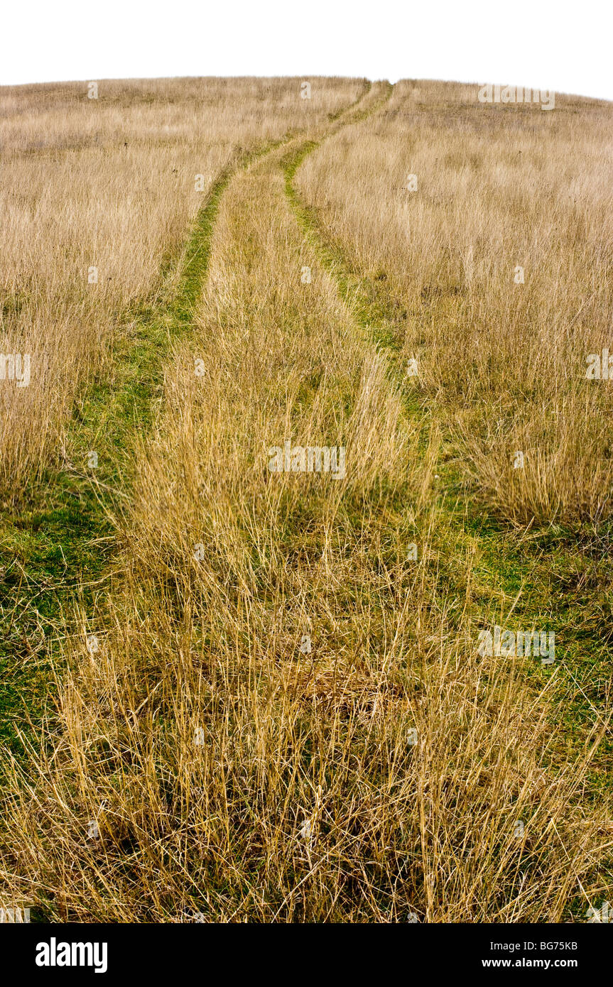 fall landscape with a cart road Stock Photo - Alamy