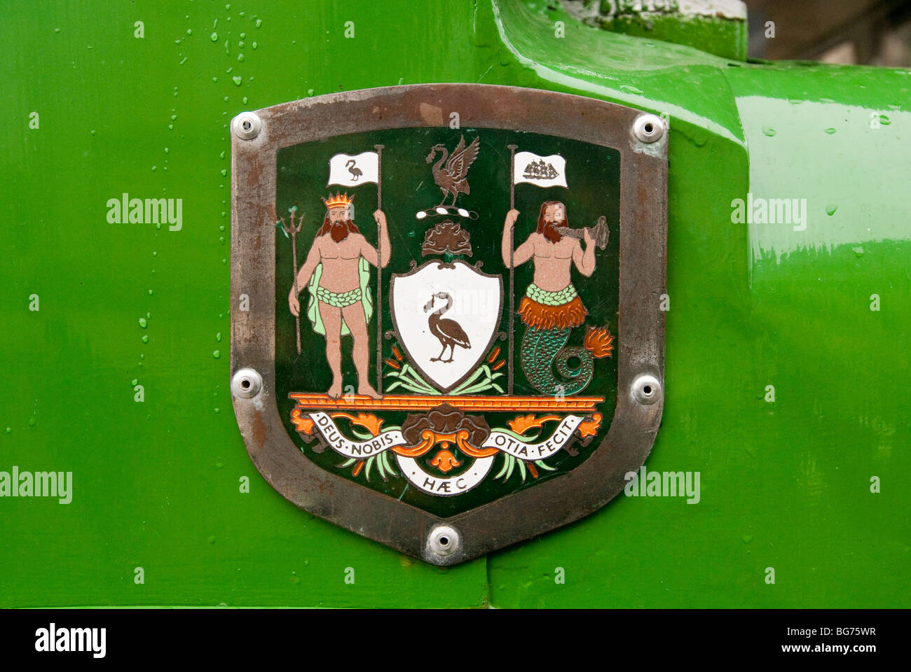 Bus badge hi-res stock photography and images - Alamy