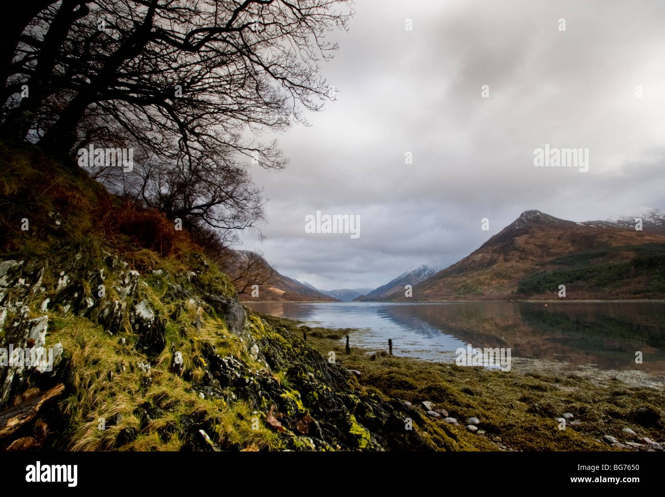 Loch leven seaweed hi-res stock photography and images - Alamy