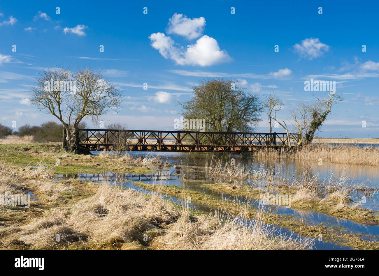 Nene washes hi-res stock photography and images - Alamy