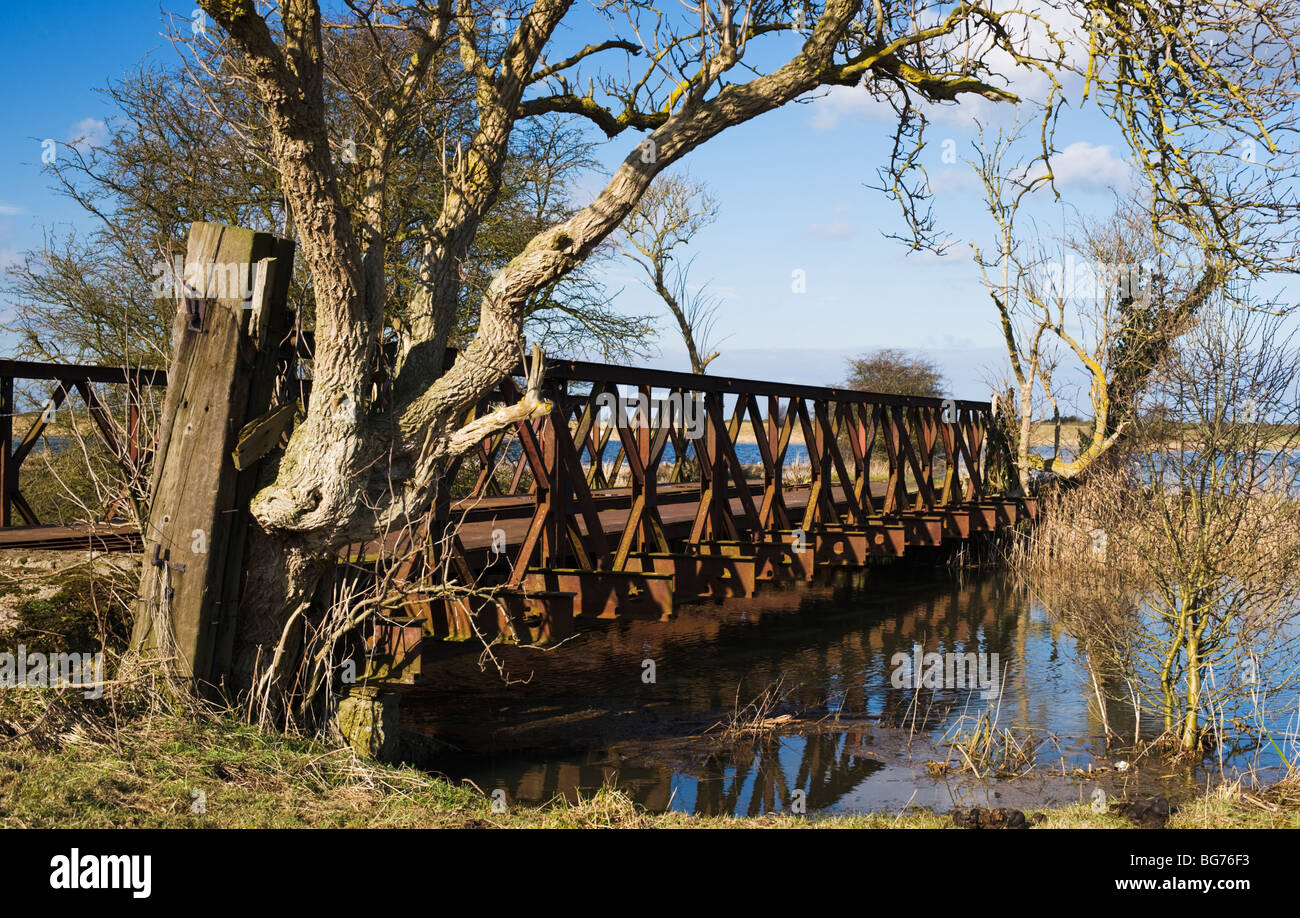 Nene washes hi-res stock photography and images - Alamy