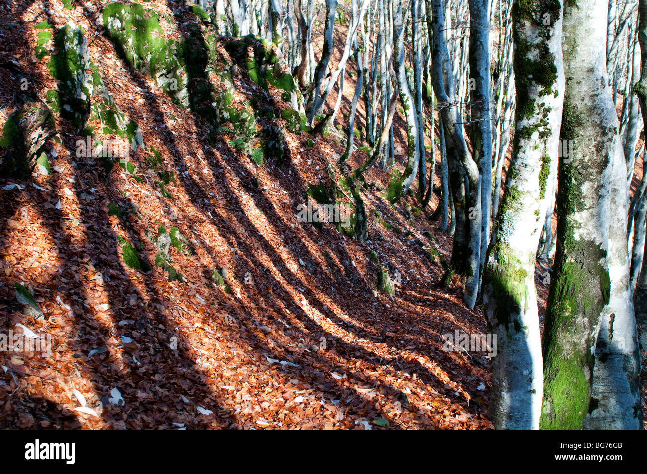 Landscape near Waterfall d'Orgon, Col de la Broue, Cevennes, France ...