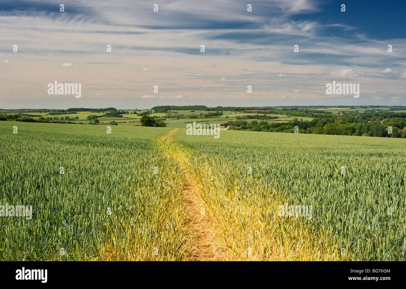 English field hill hi-res stock photography and images - Alamy