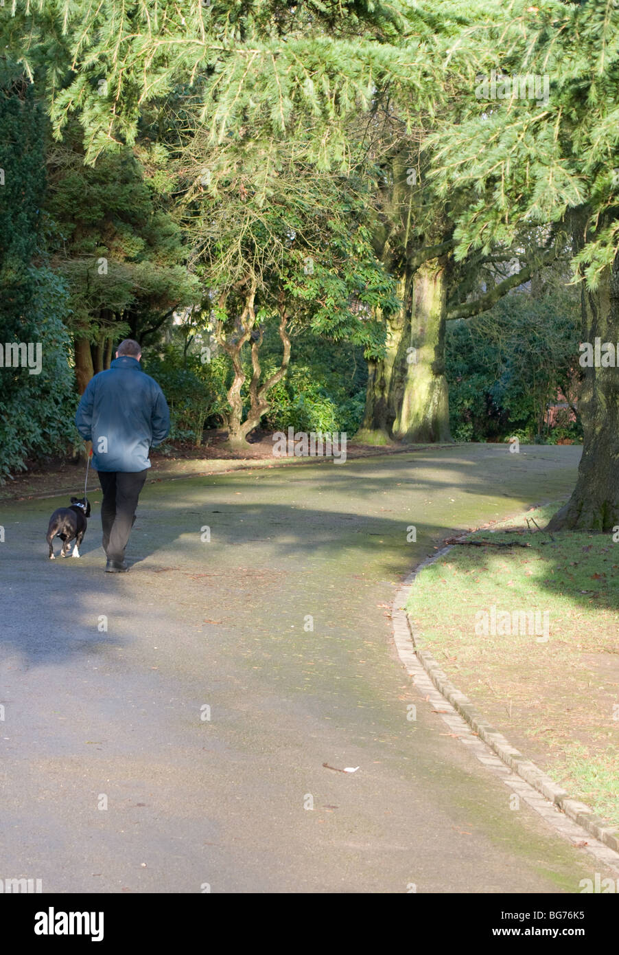 Walking the dog in the park Stock Photo - Alamy