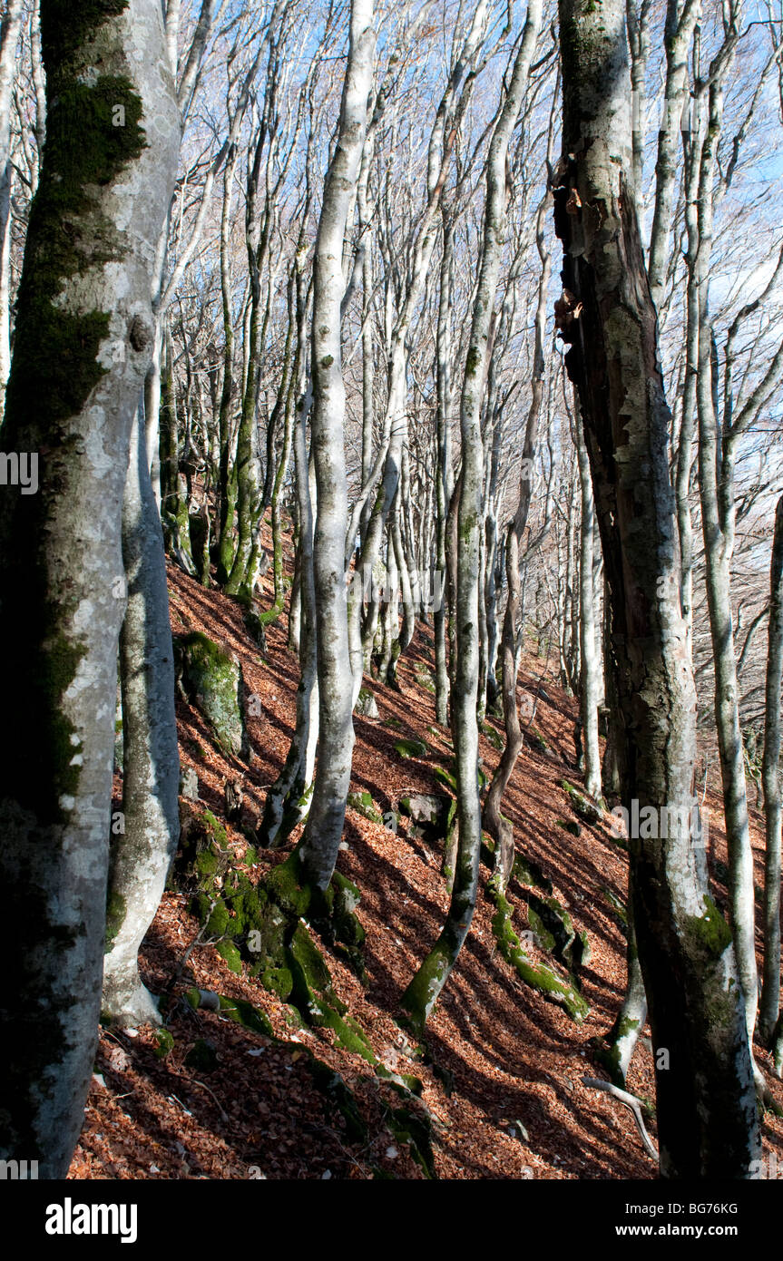 Landscape near Waterfall d'Orgon, Col de la Broue, Cevennes, France ...