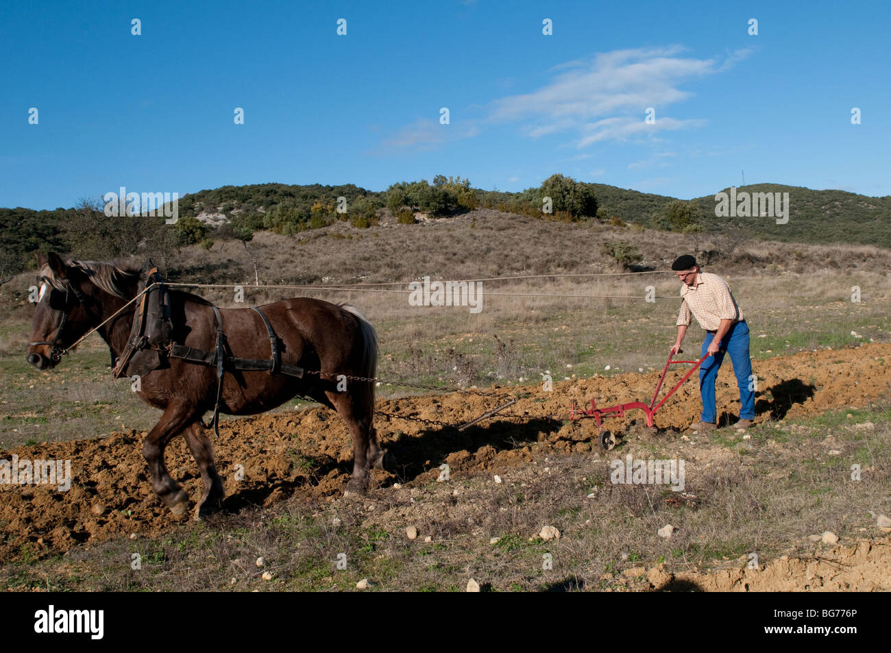Man ploughing field horse market hi-res stock photography and images ...