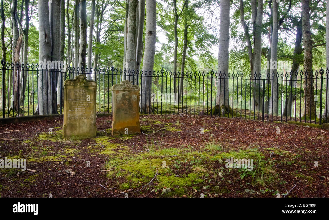 Two gravestones in a private beech woodland graveyard near Dundonnel ...