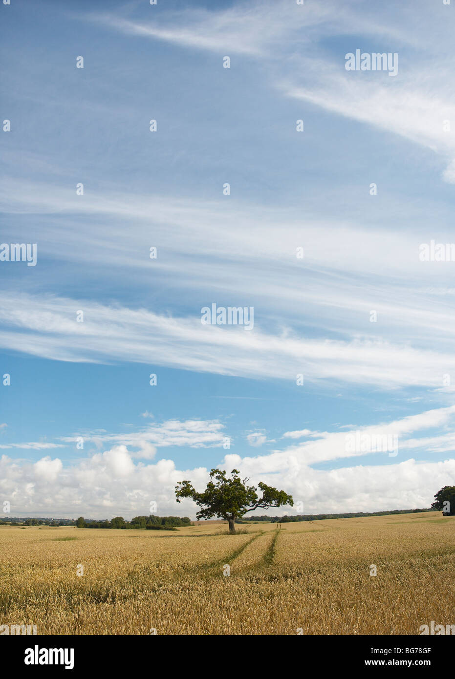 Country pt hi-res stock photography and images - Alamy