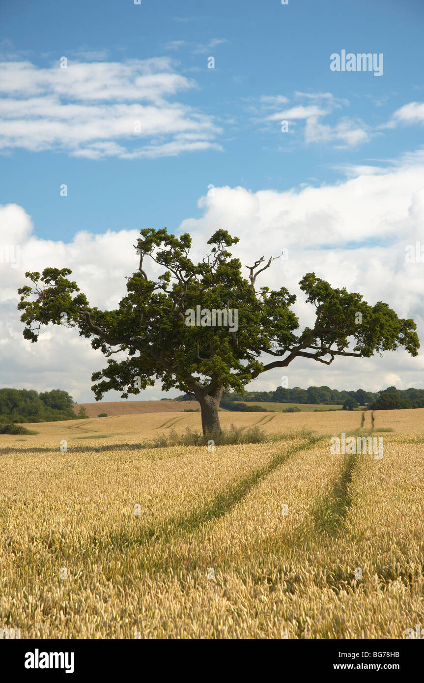 Country pt hi-res stock photography and images - Alamy