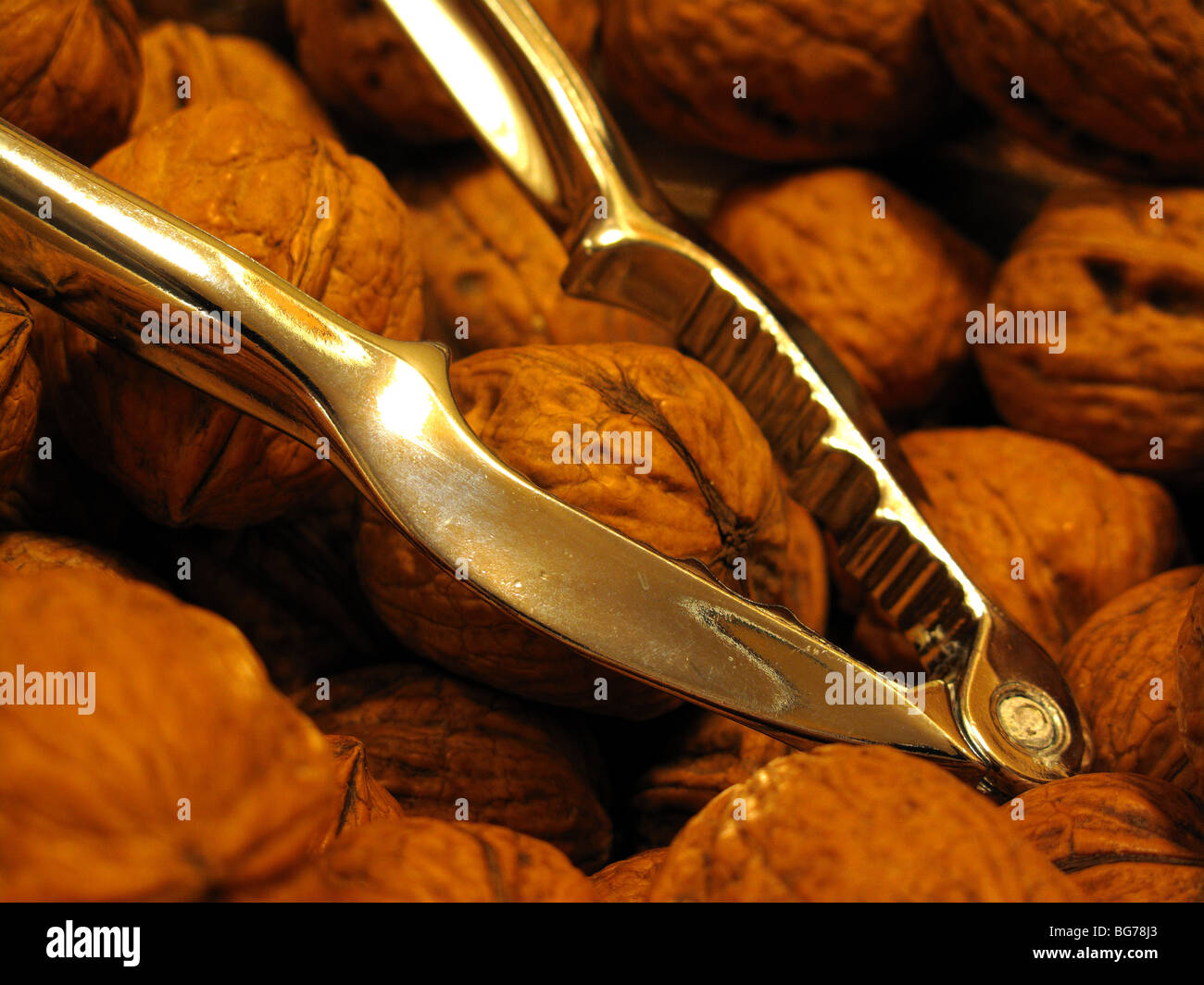 Food nuts wallnut walnut wallnuts hi-res stock photography and images ...