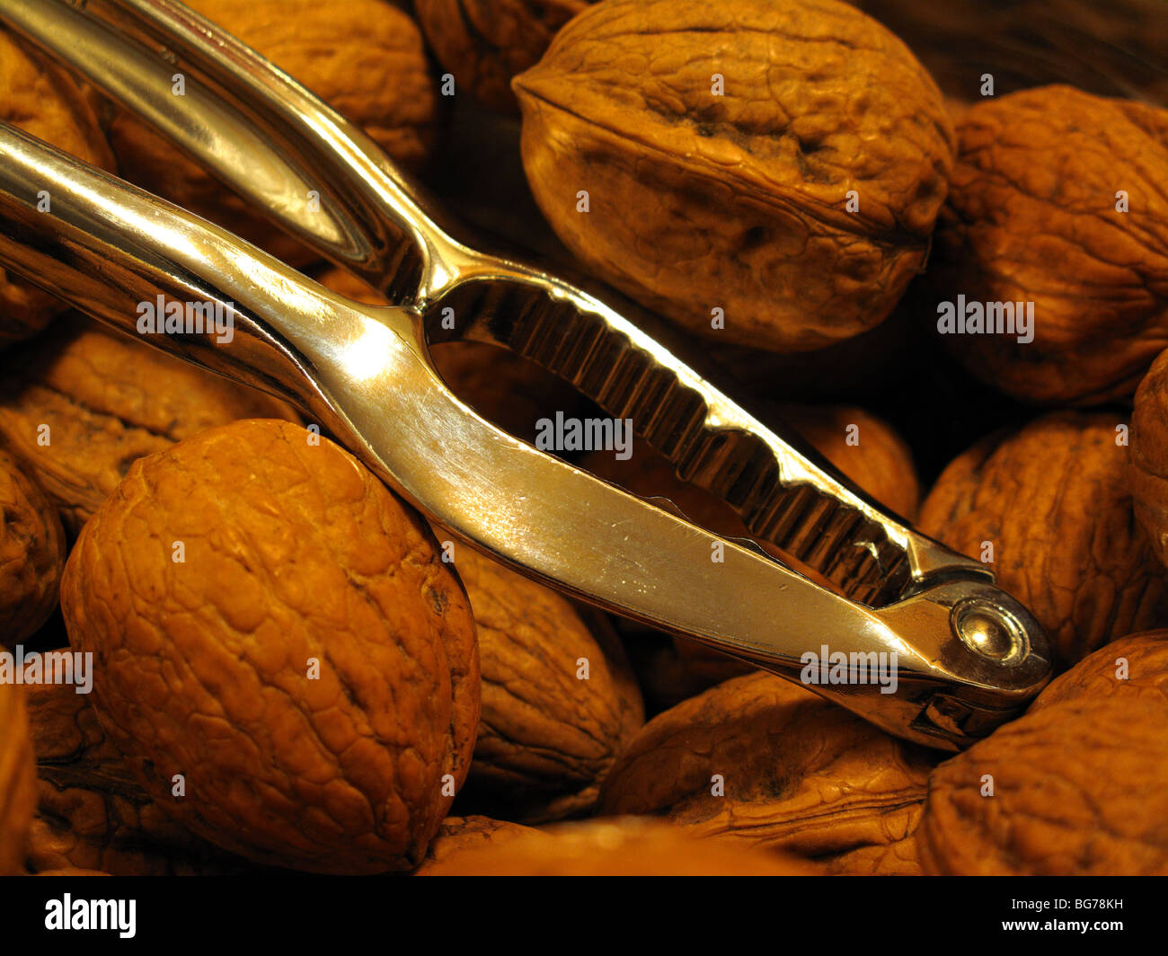 Nut cracker and shell hi-res stock photography and images - Alamy