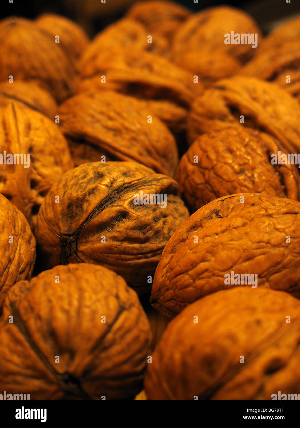 Wall nuts hi-res stock photography and images - Alamy