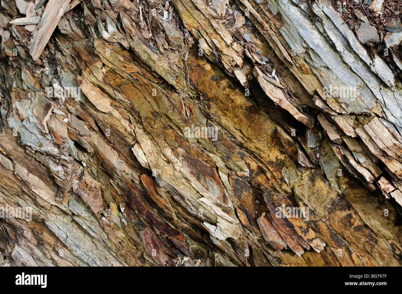 Schist Rock Stock Photos & Schist Rock Stock Images - Alamy