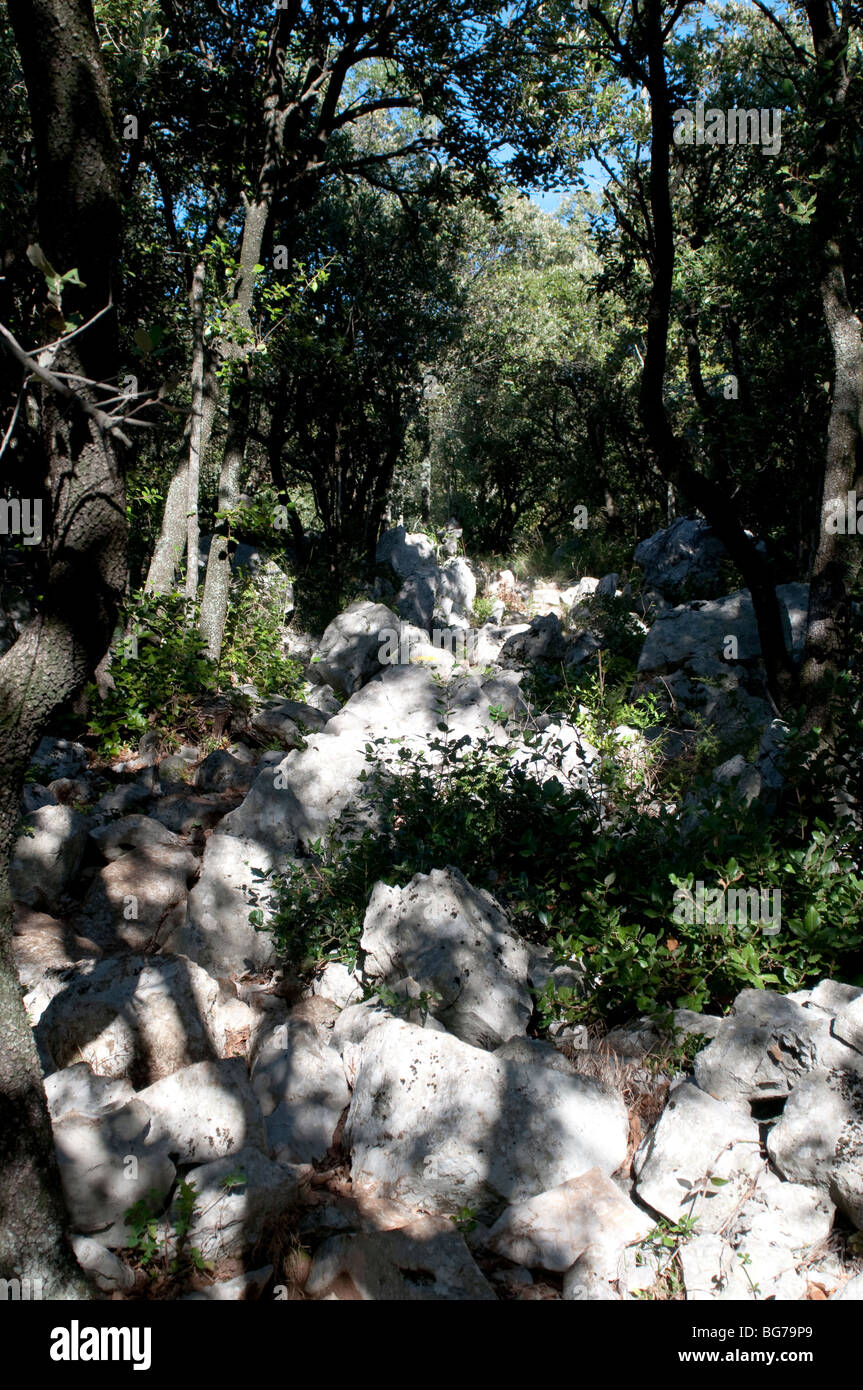 Stone path near Ganges, Southern France Stock Photo - Alamy