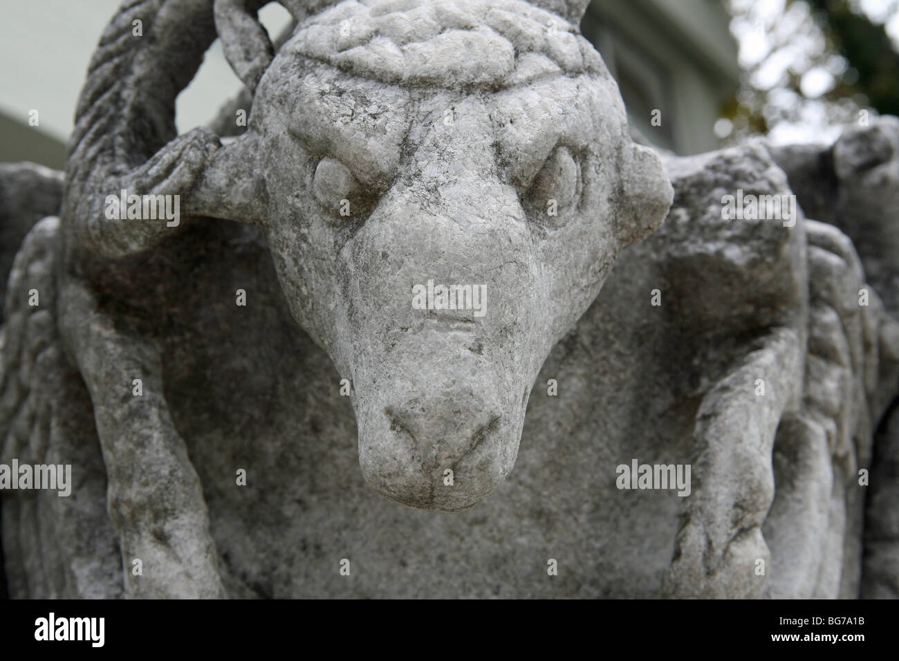 Rams eye hi-res stock photography and images - Alamy
