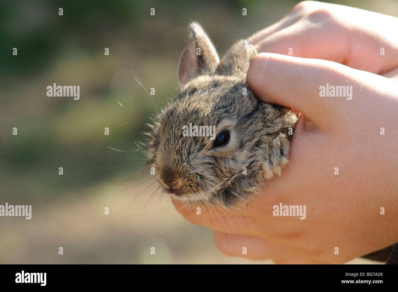 Drowning creek hi-res stock photography and images - Alamy