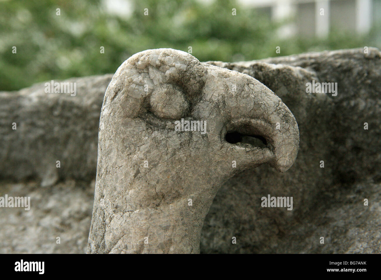 Eagle's or bird's head decorating the top of an ancient column or ...