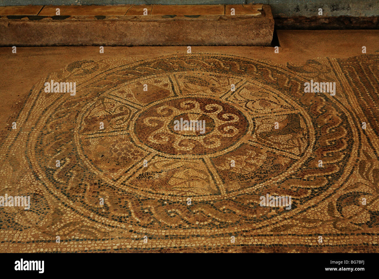 A floor mosaic from the episcopal church of Philippi Greece Stock Photo ...