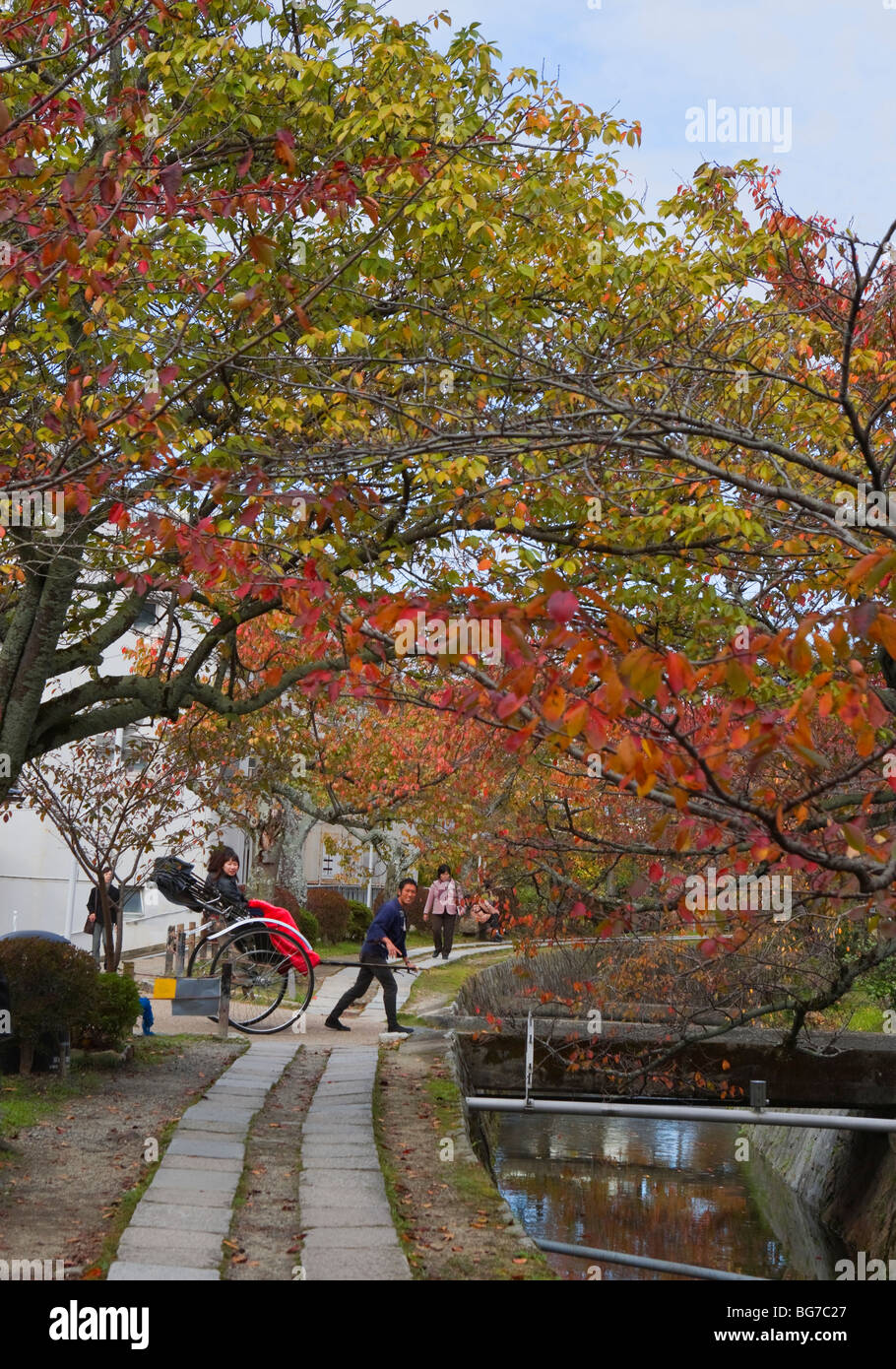 Philosopher's Path Maple Tree Japan Kyoto Stock Photo - Alamy